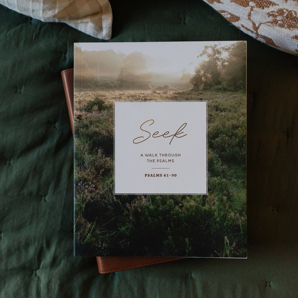 Seek | 6 Week Bible Study | A Walk Through Psalms 61-90 – Lola Jane ...